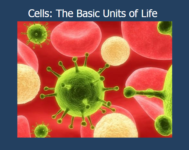 CELL THEORY24: Cells: The Basic Units of Life. Robert Hooke was the ...