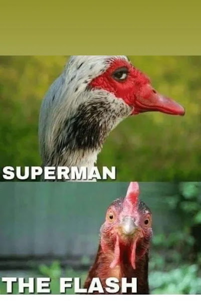 Daily Funny Collection 628 (34 Pics)