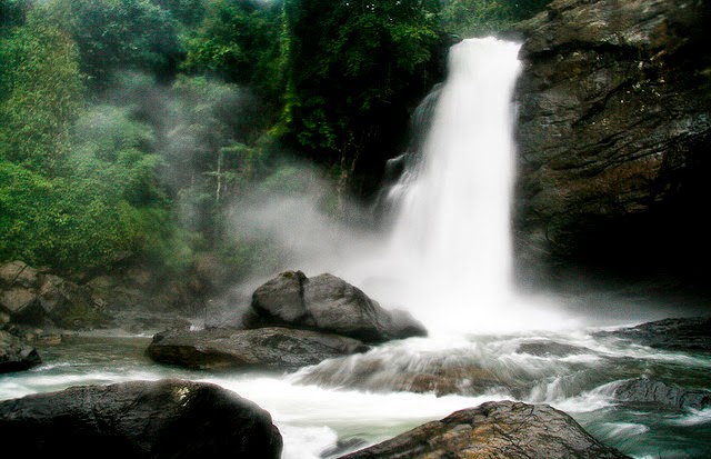 God's Own Country - Kerala: Wayanad