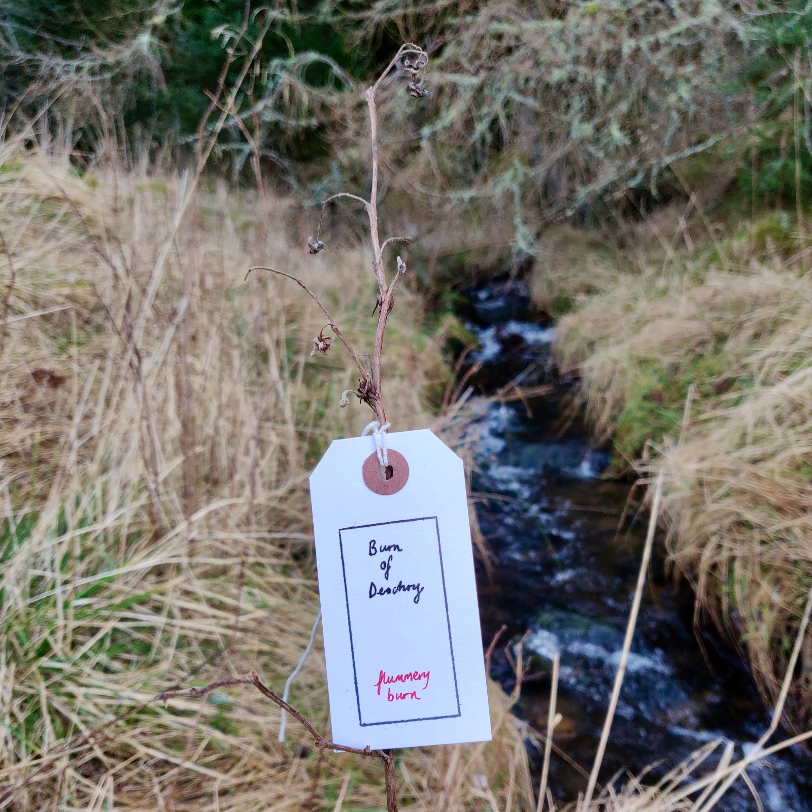 Day of Access: Walks and Paths in Strathdon