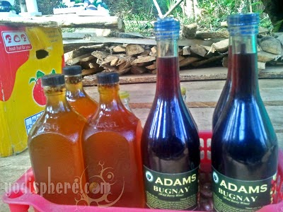 Get Lost To Ilocos: Ilocano pasalubongs?