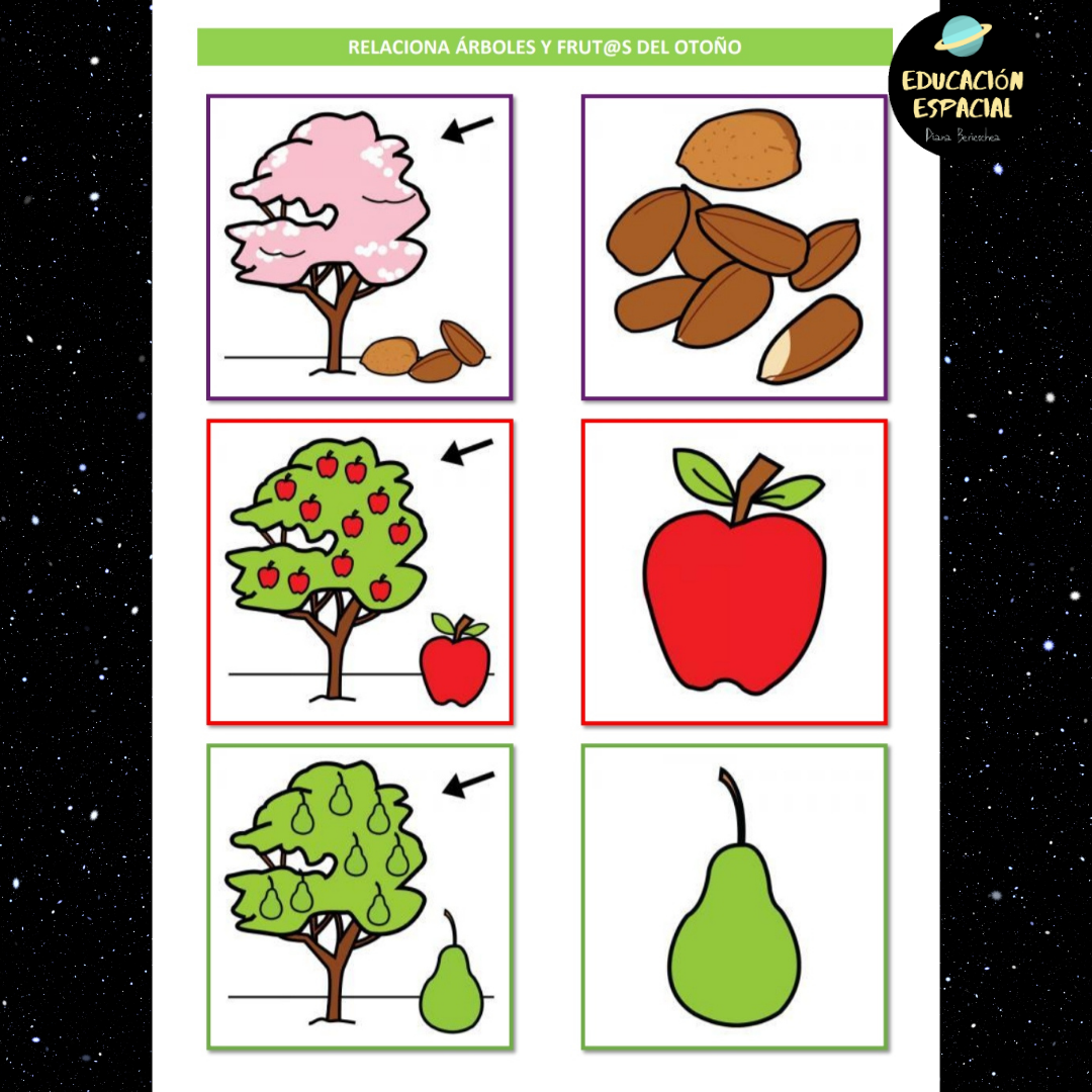 Material teacch del otoño: Relacionamos árboles y frut@s