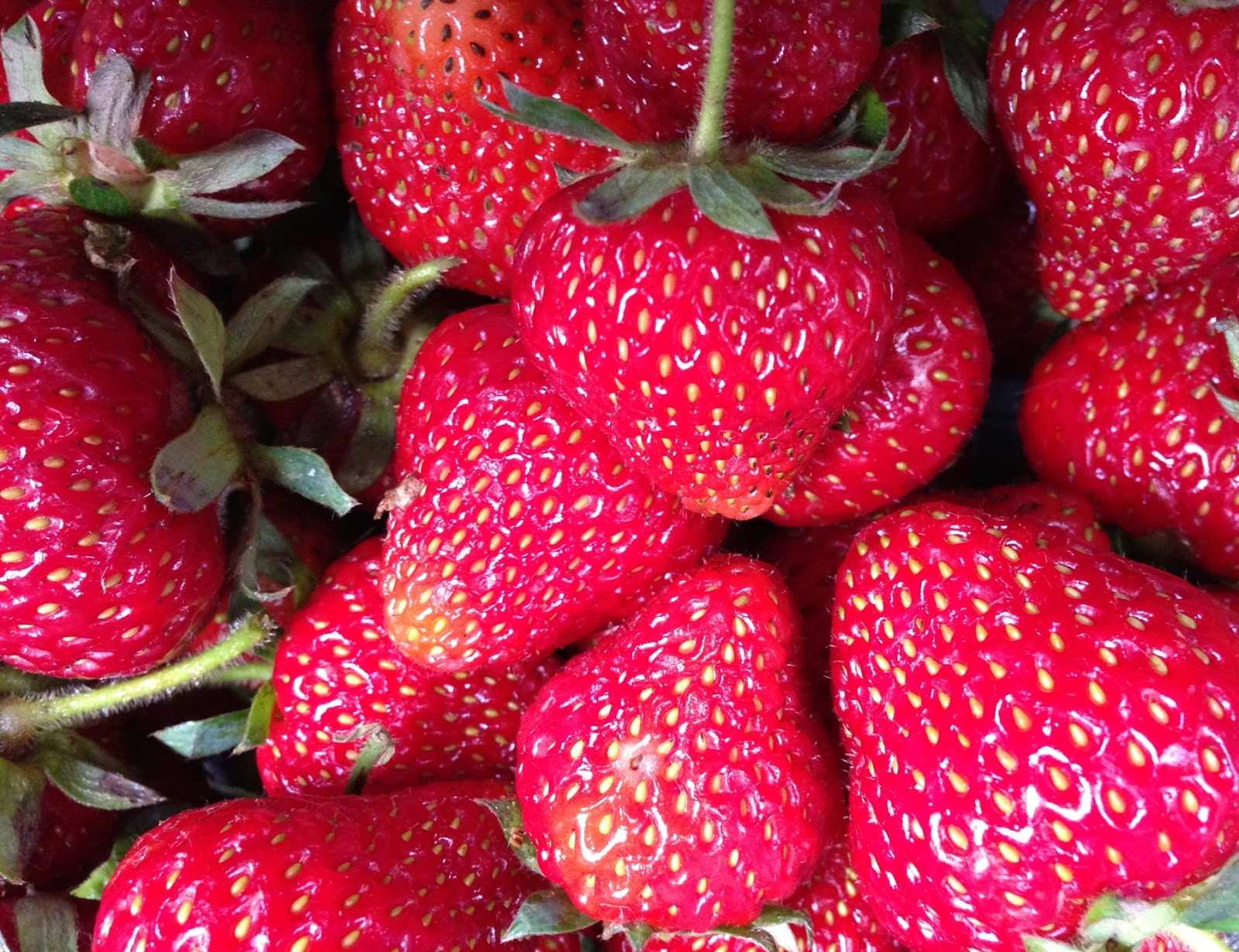 tyúkhúr: Eper, eper, eper - kötelező növény a kertben