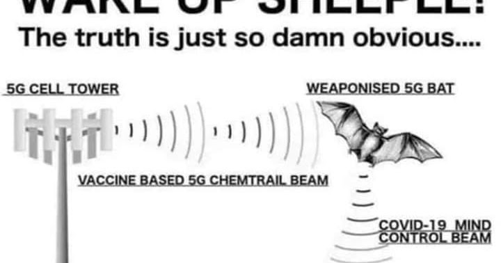 krishna1008: The 5g Bat Soup Vaccine Microchip Problem Explained (PADA)