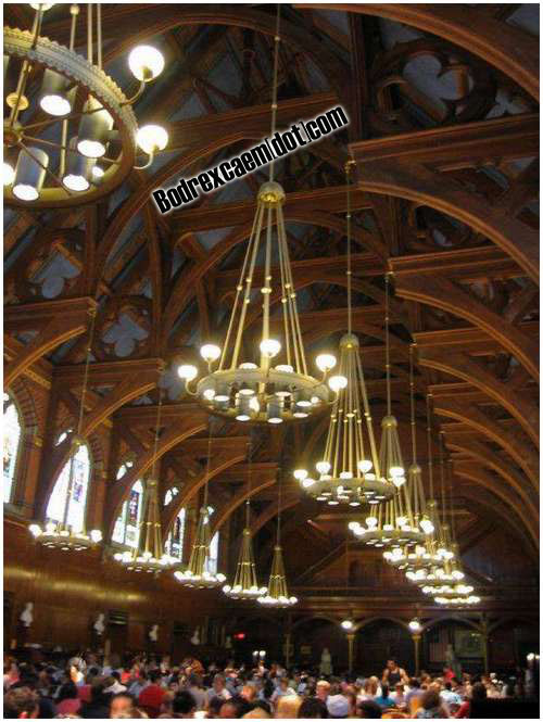 This is the Luxury Diner Photos Harvard Campus - zone-alpha