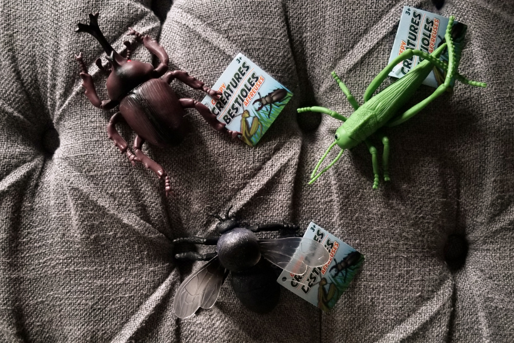 Oscar Bravo Home: DIY Entomology Cloche with Dollar Store Bugs