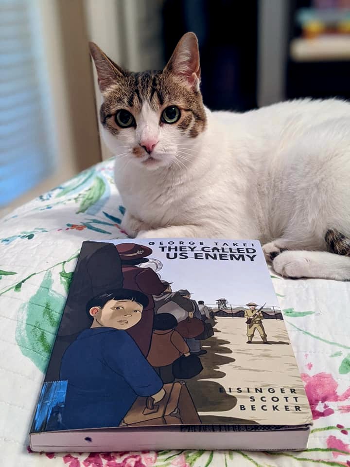 Bookfoolery : They Called Us Enemy - George Takei, Elsinger, Scott, and ...