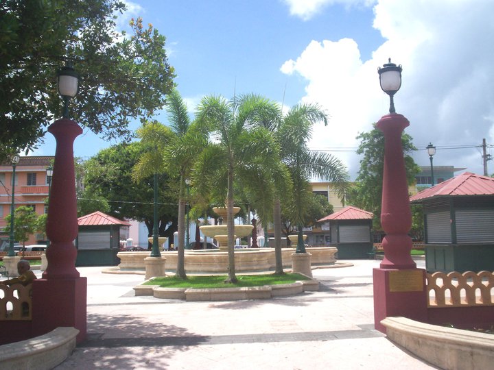 Descubriendo nuestra historia: Conociendo a Puerto Rico: JUNCOS - LA ...