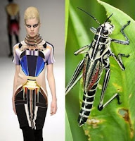 Fashionably Adventurous!: Macro to Fashion