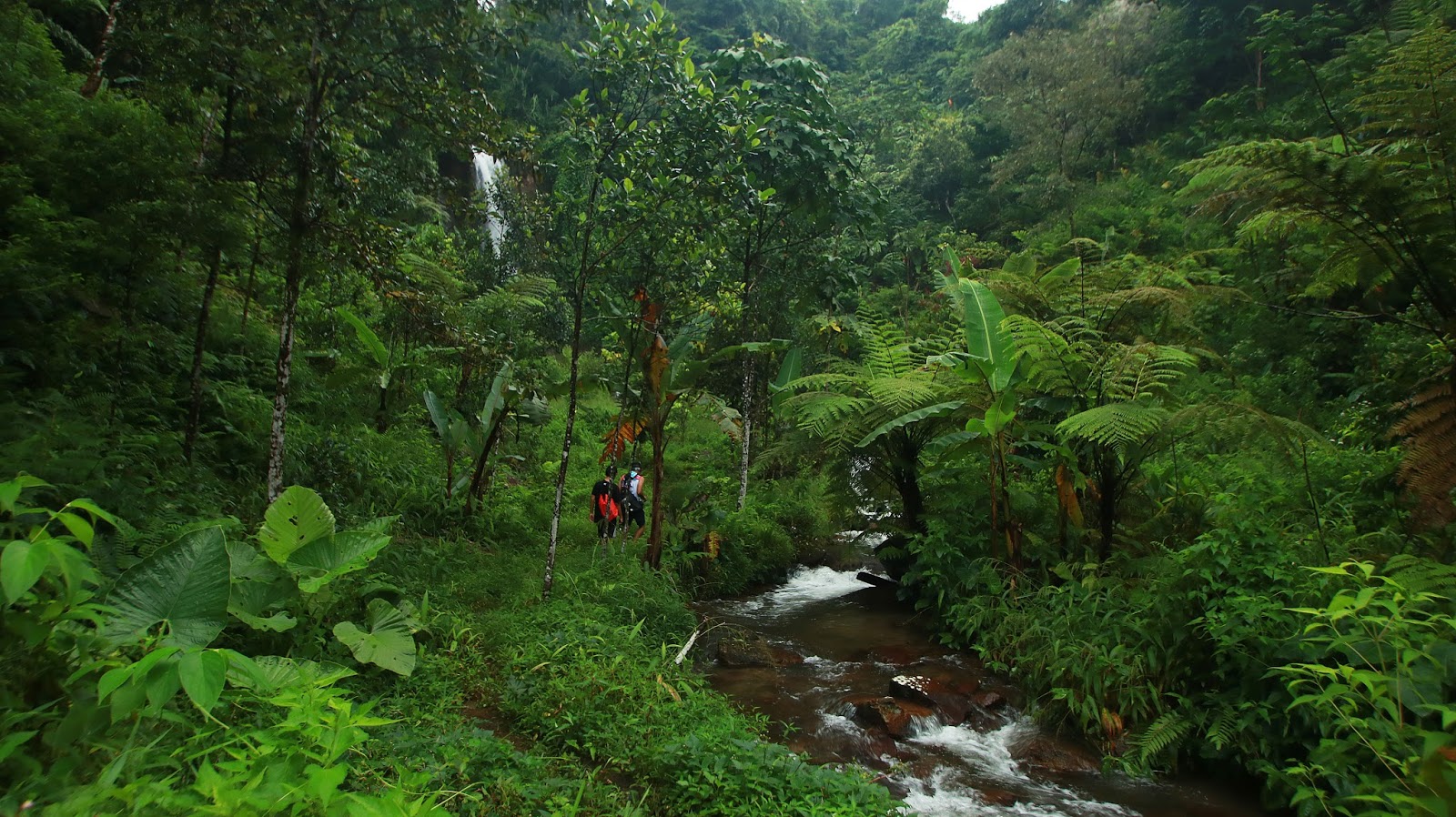 Ciasmara-Sekeping Surga yang Terlupakan I: Curug Saderi dan Curug Cimanglid