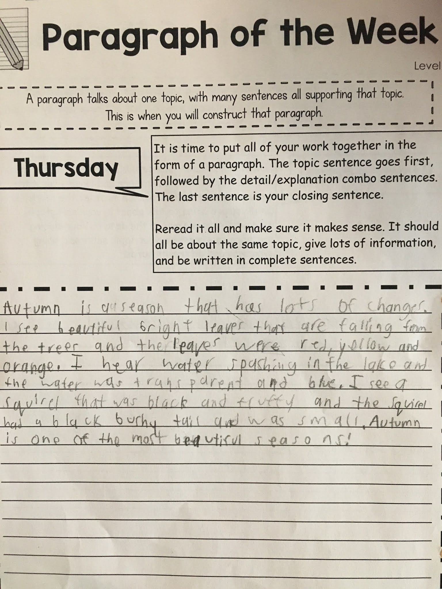 Ms.Hill Grade 4: Day 21: Descriptive Paragraph