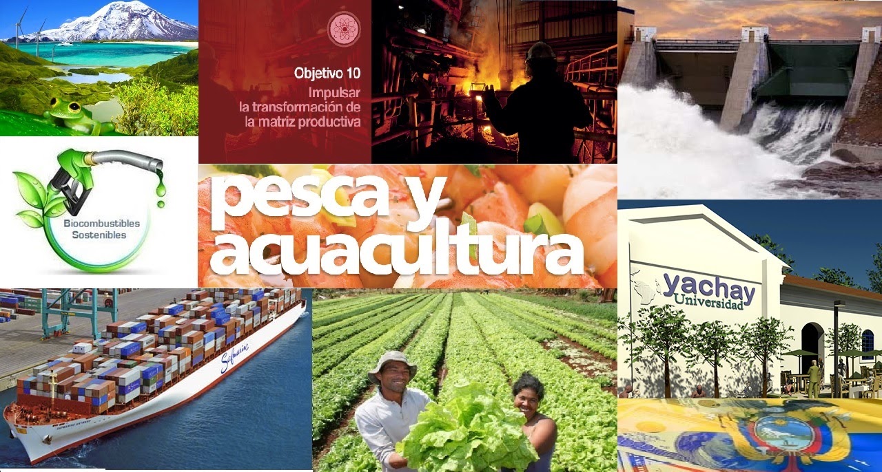 Bio Combustibles y Conocimiento E. Hidrúlica Siderurgia Astillero ...