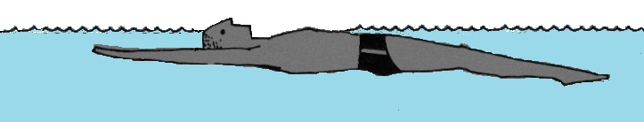 Swimming Teaching: Learn How To Swim 101 – Back Float - Learn How To Float