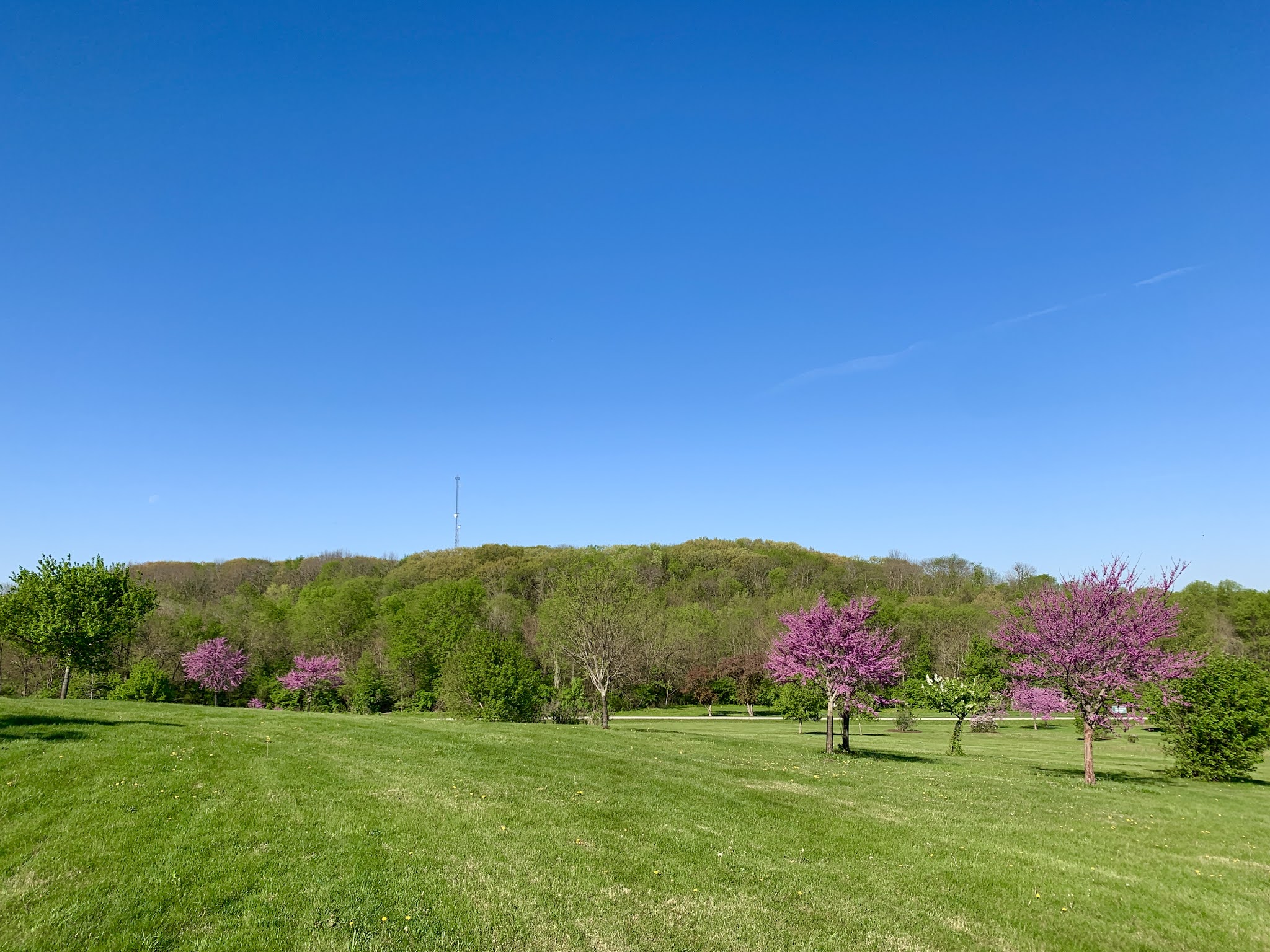 Des Moines: Ewing Park Lilac Arboretum