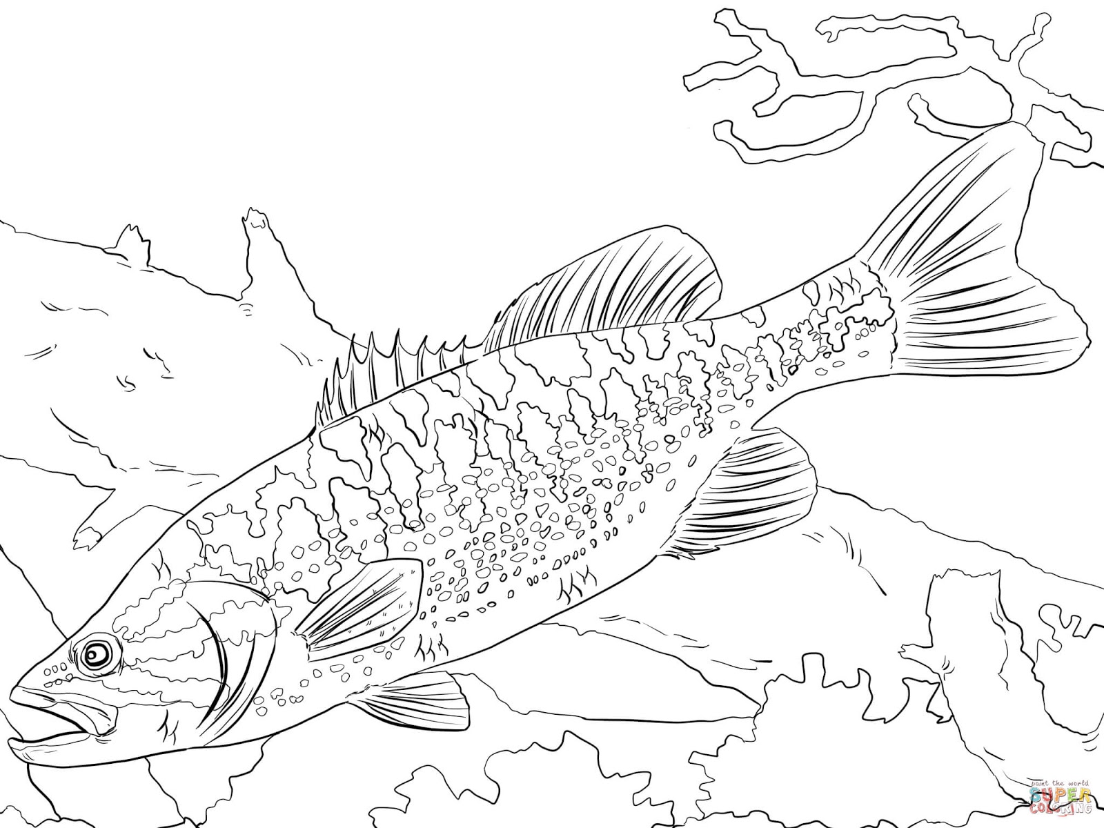 Arapaima Gigas Fish Coloring Pages - Best Coloring Pages For Kids