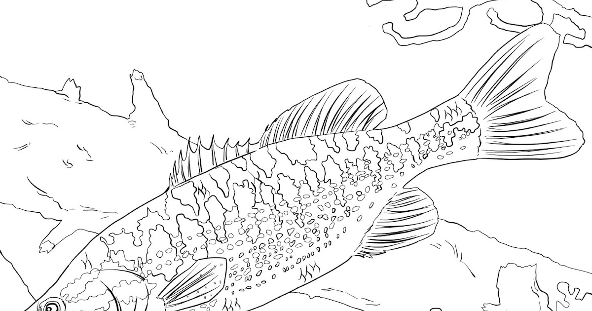 Arapaima Gigas Fish Coloring Pages - Best Coloring Pages For Kids