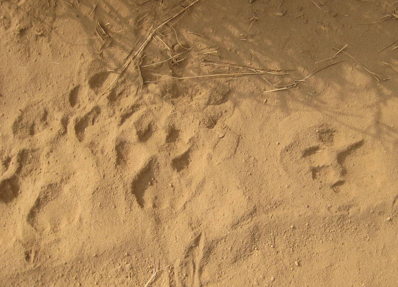 Letter from Espargal: July 2012