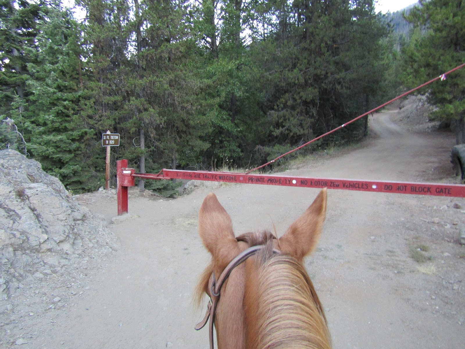 Holly's Horse Tales and Trails: Black Pine and Conrad Meadows Horse ...