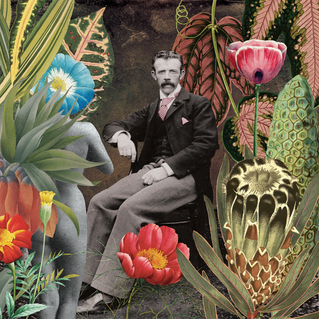 Tim Robinson Illustration and Design