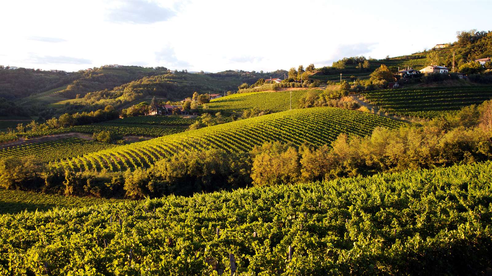 Le molteplici identità del Collio e un'ideale zonazione territoriale ...