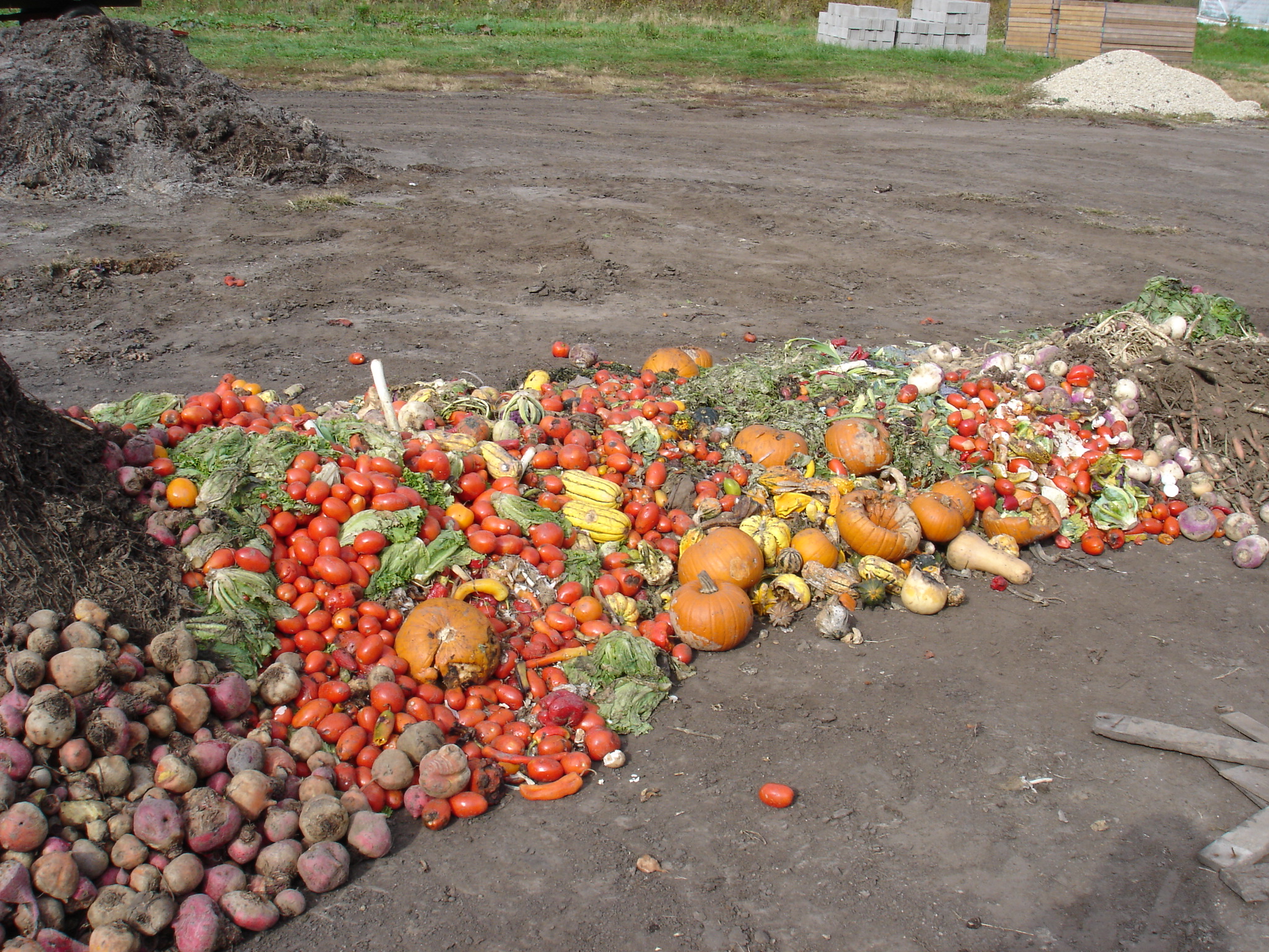 Harmony Valley Farm: Food Waste: How CSA Can Help Us Understand ...
