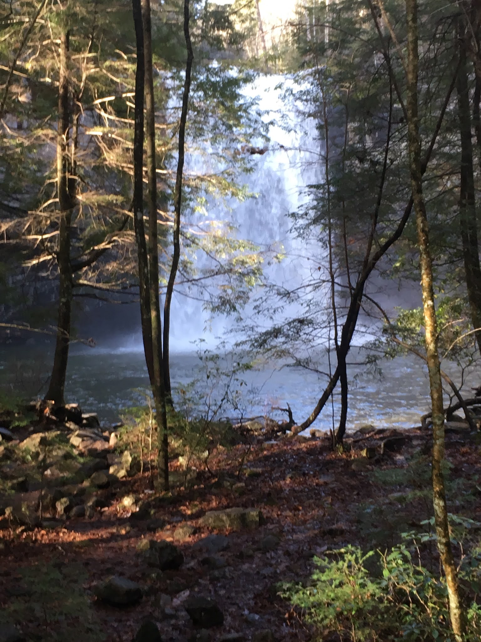 Beth Builds a Cabin: My Favorite Things to Do on Monteagle Mountain