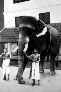 Chengallor Ranganathan at Chengalloor Sree Mahadeva Temple in India ...
