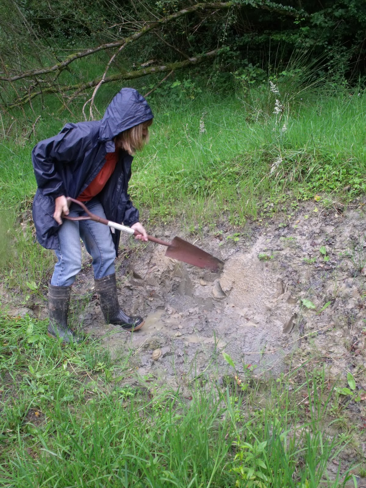 A Devonshire Pottery: August 2011