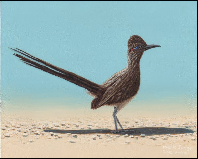 Bunny Tales: MEEP MEEP!!!