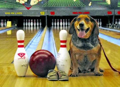 I Love Las Vegas Magazine...BLOG: Have Fun Bowling & Supporting Rescued ...