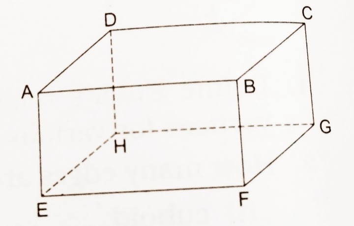 Volume and Surface Area of Solids : Cuboid, Class 8 CBSE NCERT