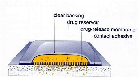 MCQs: Transdermal Drug Delivery System (TDDS)