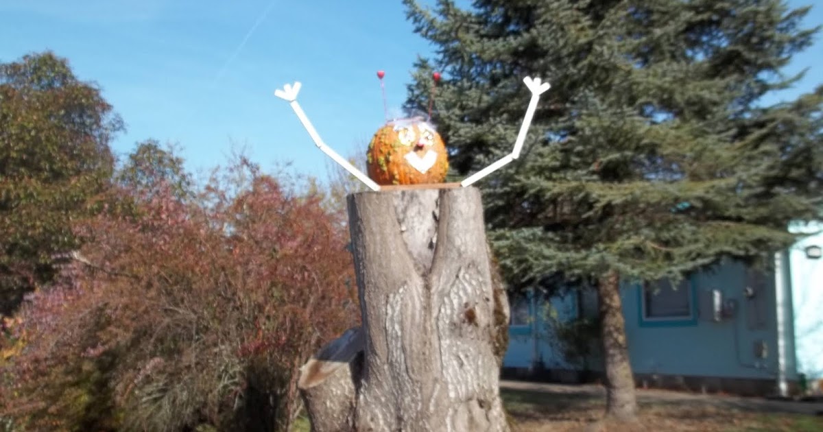 The Writings and Musings of Heather Hobson Lewis: My Beautiful Empress Tree