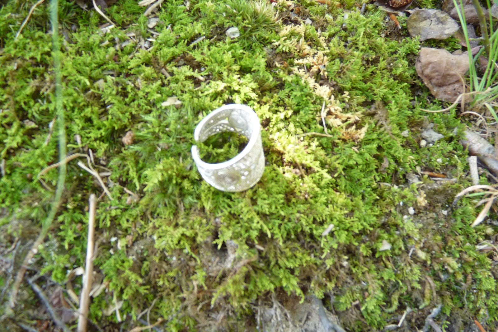 AP Biology Summer Assignment : Lichen