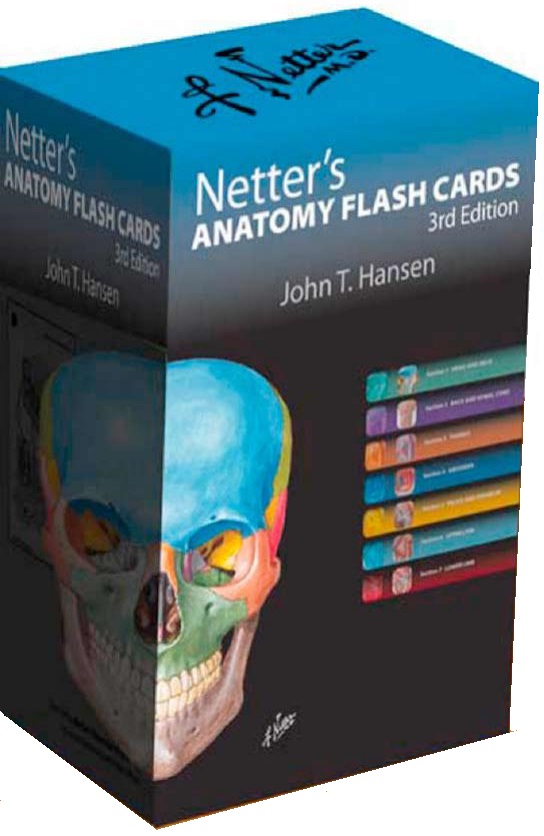 Netter’s Anatomy Flash Cards 3rd Edition PDF Free Download [Direct Link]