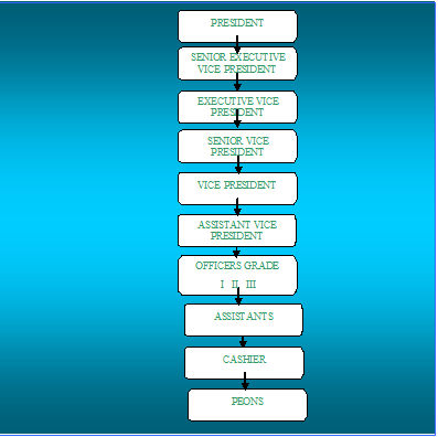 LOKOI: OB MCB LIMITED PROJECT PAKISTAN