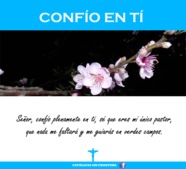 Confío en ti | PAPA FRANCISCO