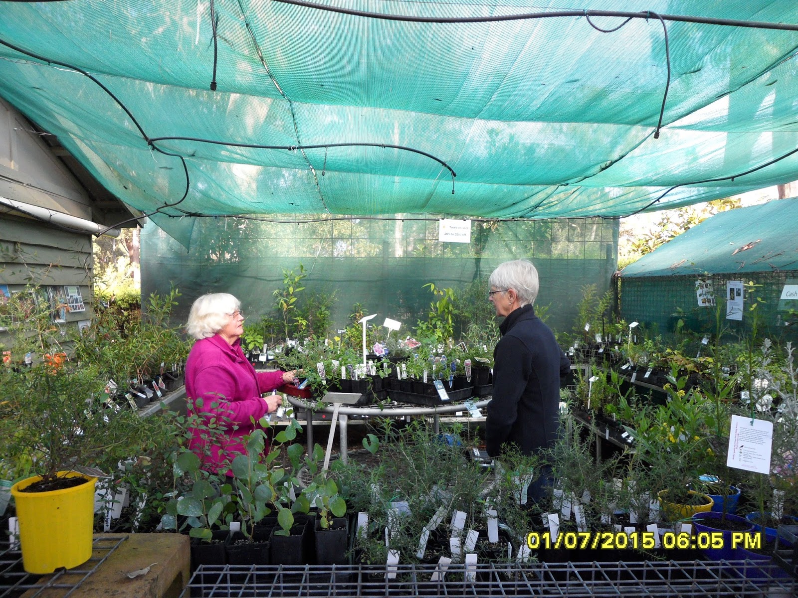 Friends of Peacehaven Botanic Park Inc.: EXCITING NEW BLOOMS & NATIVE ...