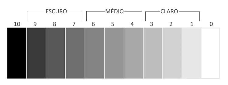 BCas Notes I: Escalas de valores