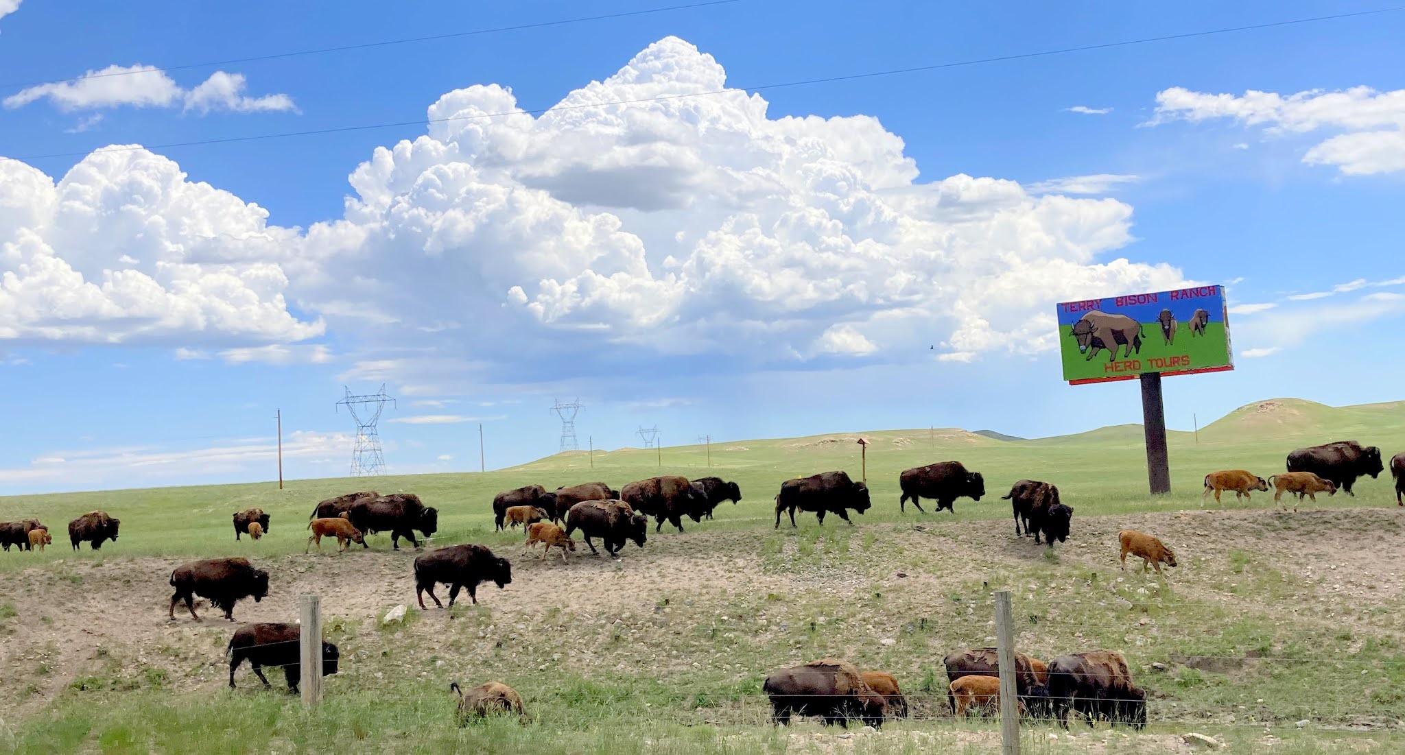 Wandering His Wonders: Welcome to the Ranch in Wyoming!