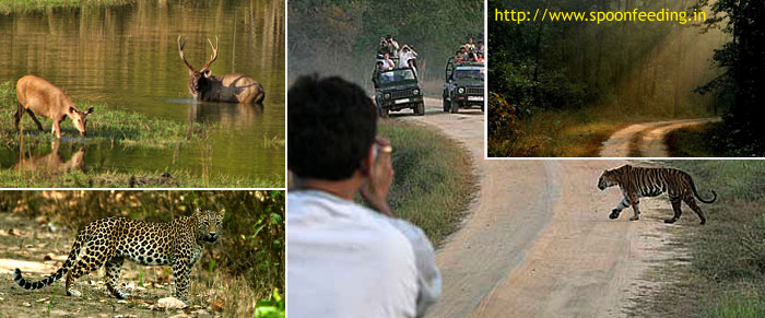 The Marvels of Madhya Pradesh (MP): A Guide to India's Must-see Tourist ...