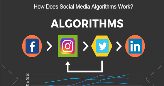 How Does Social Media Algorithms Work?