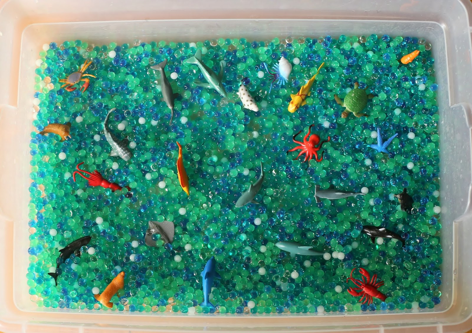 Our Five Ring Circus: Ocean Sensory Bin