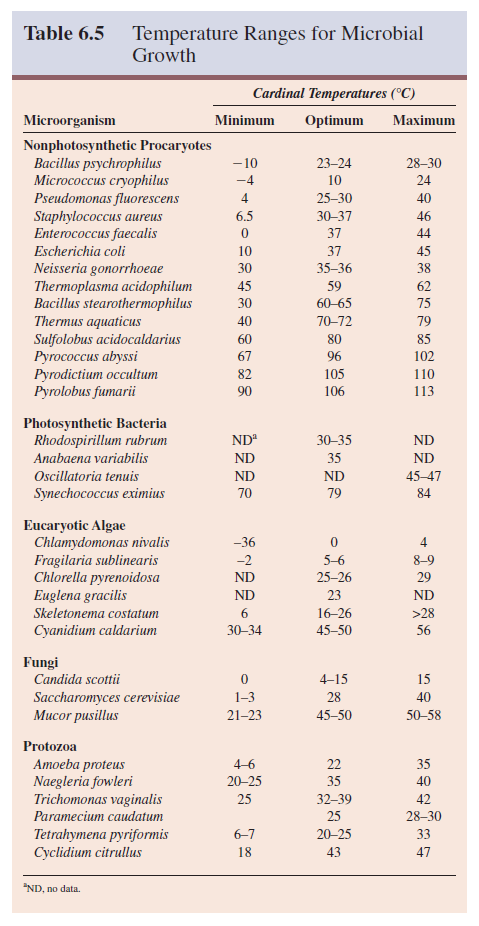 Microbiology Notes: Microbial Growth : Bacterial Growth Curve