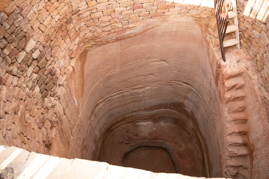 Birds of Saudi Arabia: Sisra Well – Sakaka