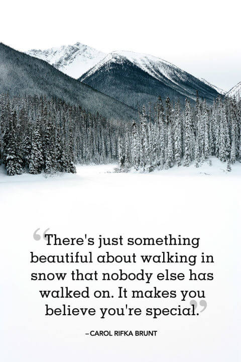 18 Absolutely Beautiful Winter Quotes About Snow - Our World Stuff