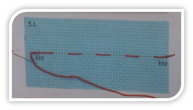 Dunia Jahitan: Langkah-langkah Menjahit Jelujur Kasar