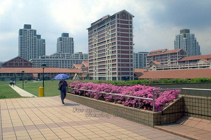 Blog To Express: Bishan - Then and Now