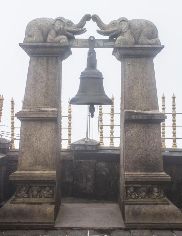 Nature Walks: FAITH WILL TAKE YOU TO THE TOP