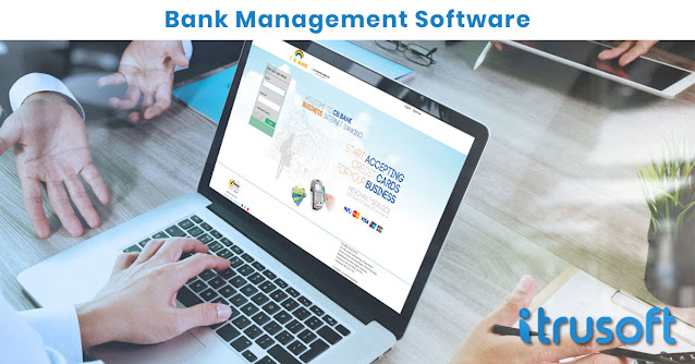 Why do we use software for bank management